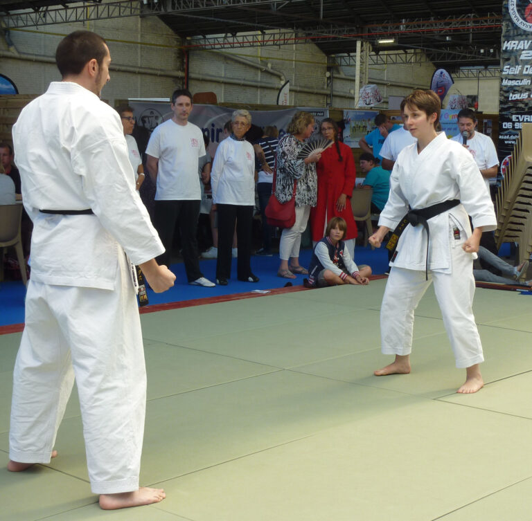 Les positions - Karate Neko Dō